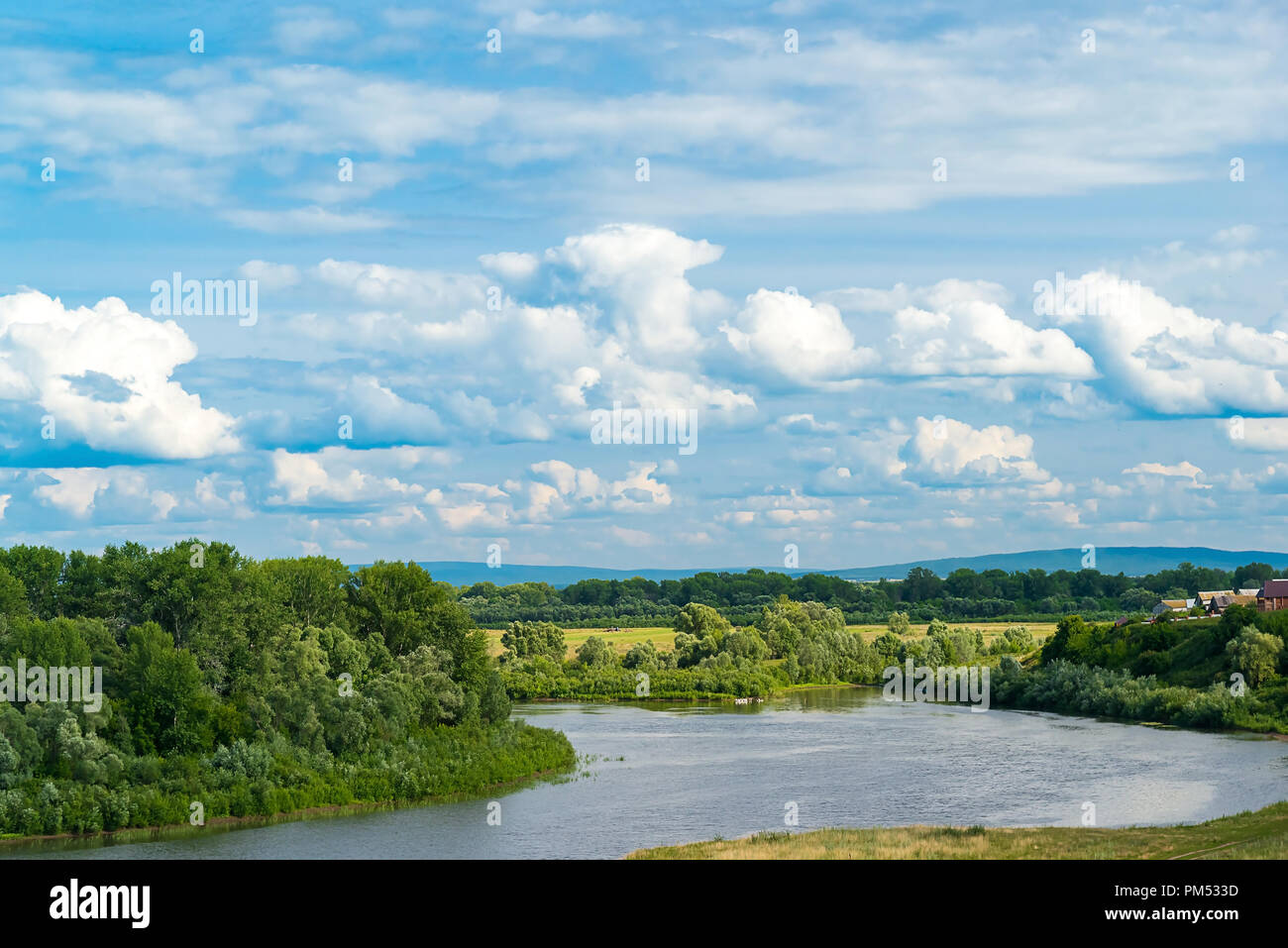 Beautiful scenery of the Russian river, a dense Russian forest and ...