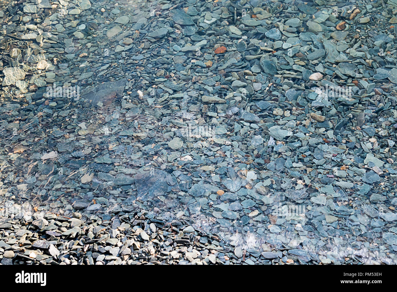Background of pebbles and water Stock Photo - Alamy