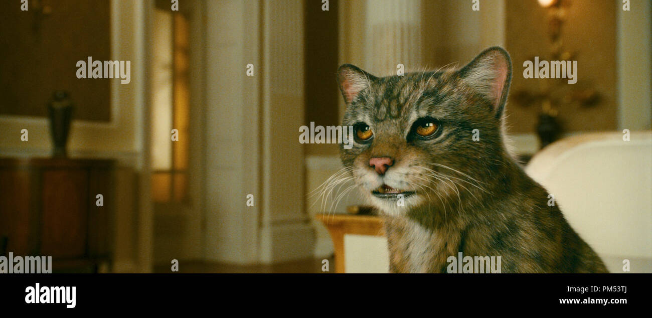 The golden compass hi-res stock photography and images - Alamy