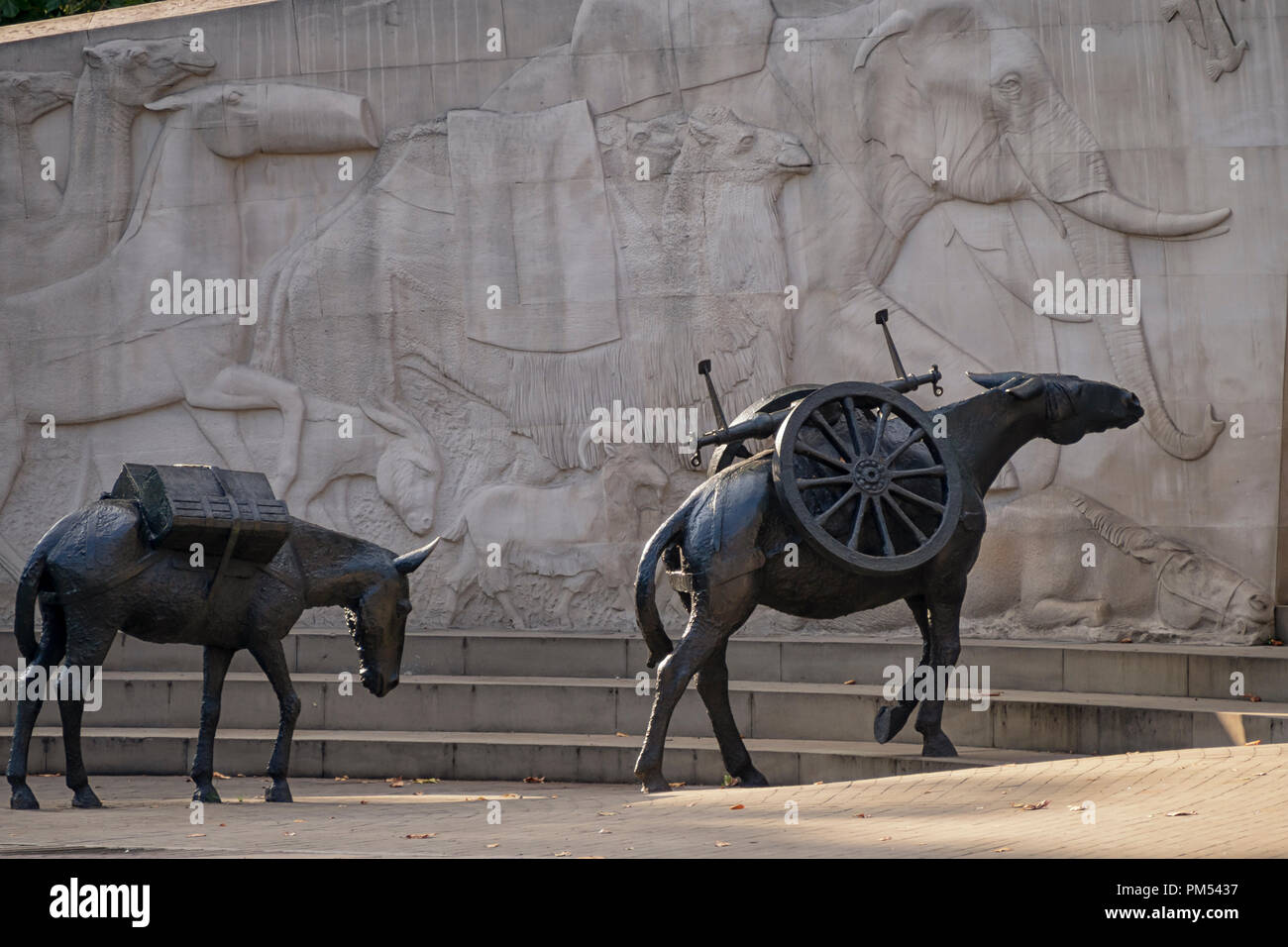 Animals In War Memorial London Stock Photos & Animals In War Memorial ...