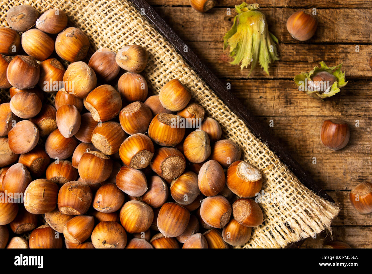 Wallpaper hazelnut hi-res stock photography and images - Alamy