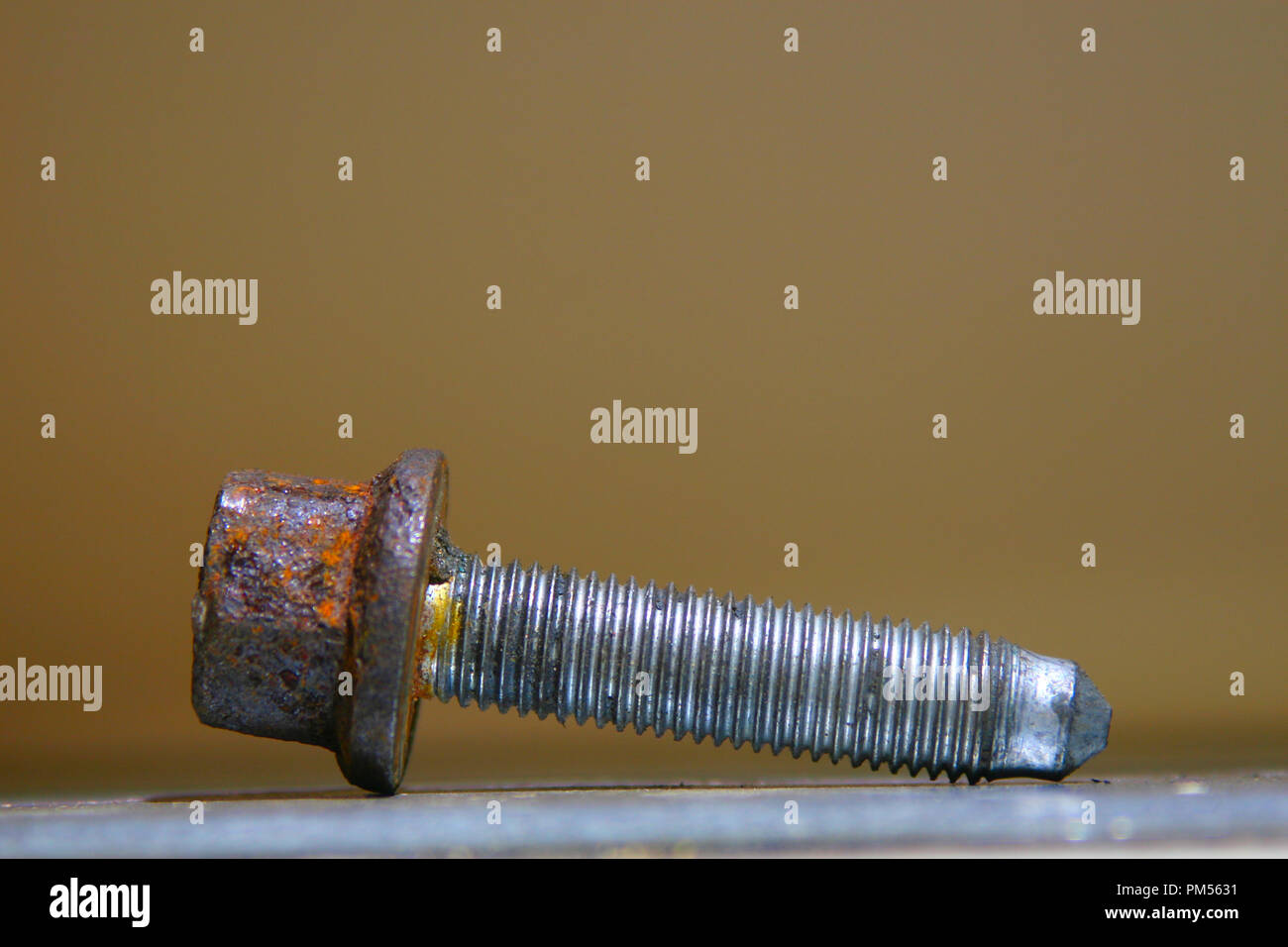 Close photo of an old rusty threaded bolt on the table. Light brown ...