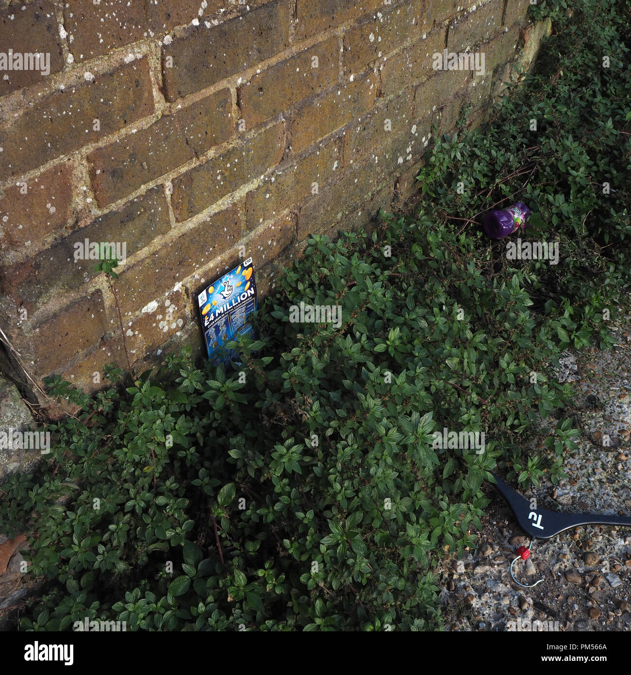 Litter & rubbish left on the street Stock Photo - Alamy