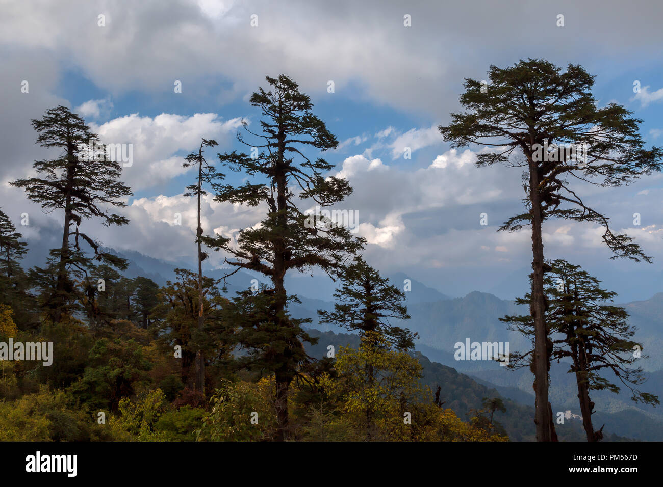Bhutan himalayan range hi-res stock photography and images - Alamy