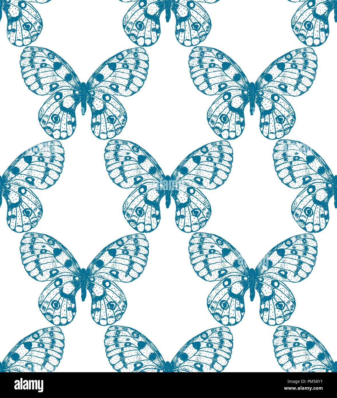 Vector seamless pattern of blue hand drawn butterfly on white ...