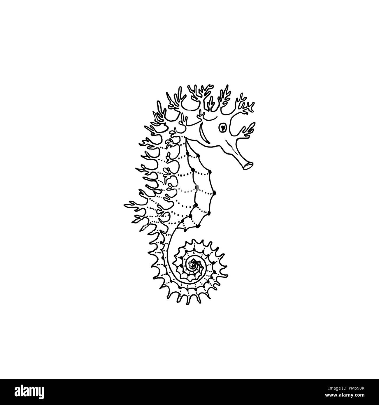Vector illustration of seahorse silhouette. Hand drawing seahorse Stock ...