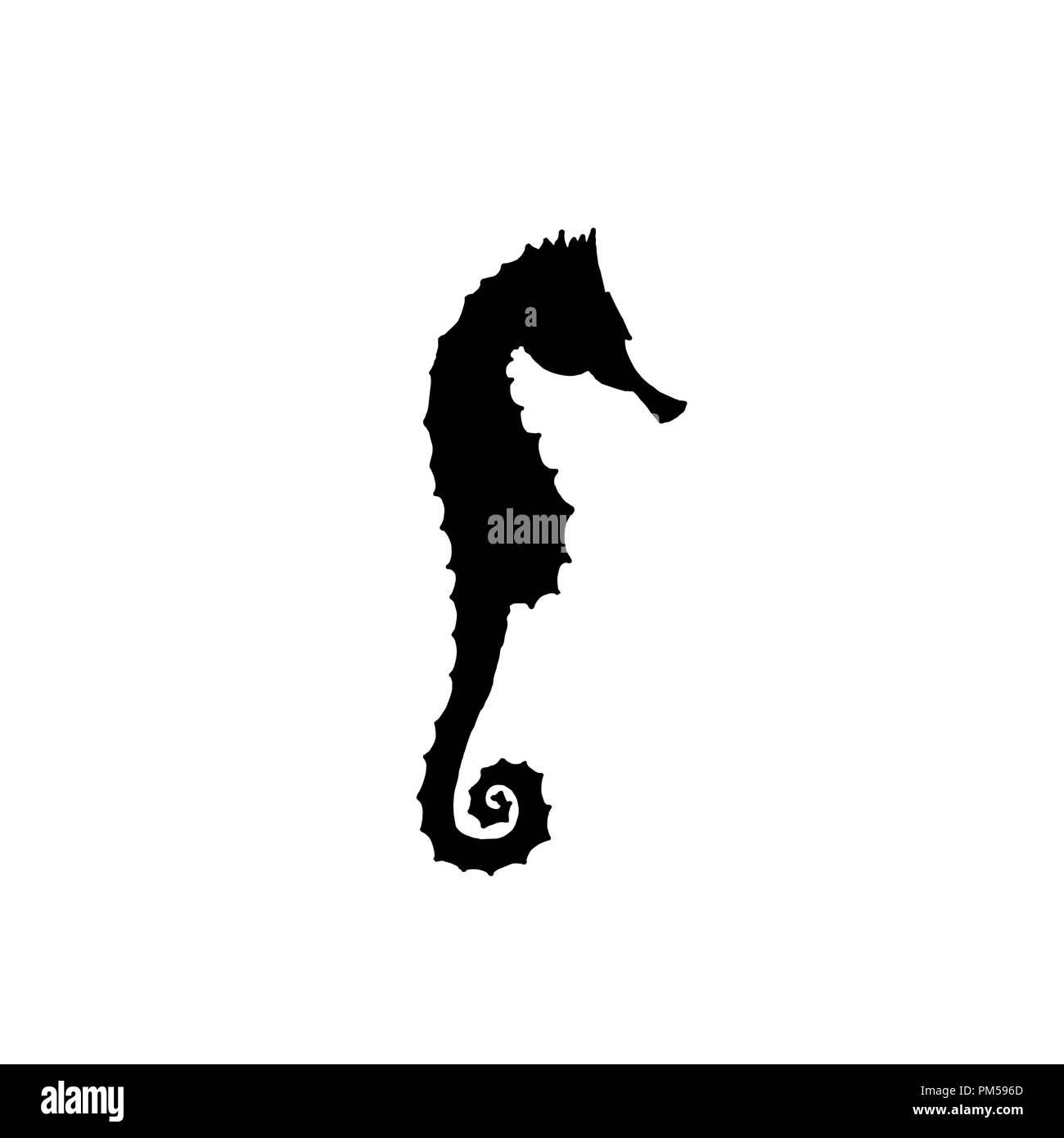 Vector illustration of black seahorse silhouette. Hand drawing seahorse ...