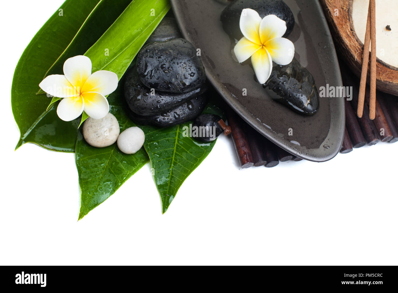 spa tropical set for therapy massage on white background Stock Photo ...