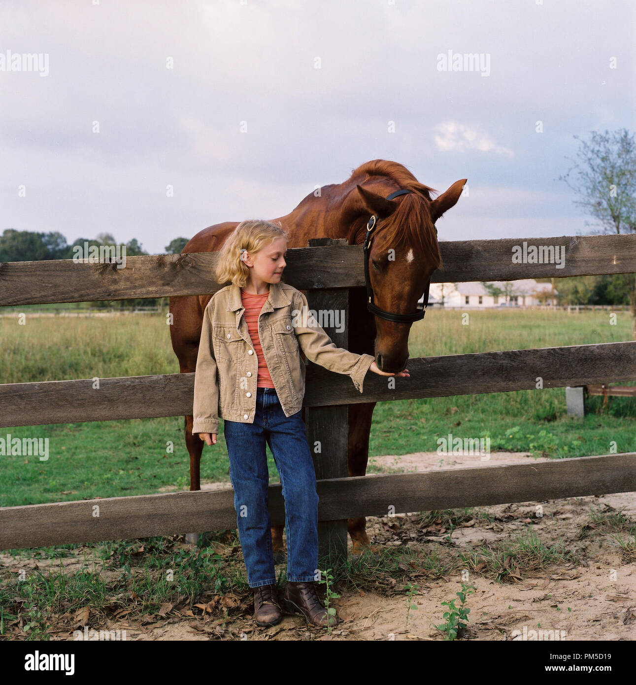 Film Still / Publicity Still from "Dreamer: Inspired by a True Story ...