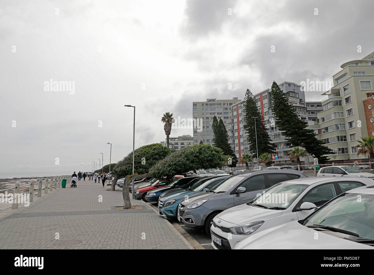 The Sea Point promenade with it's iconic wind-sculpted trees , Cape ...