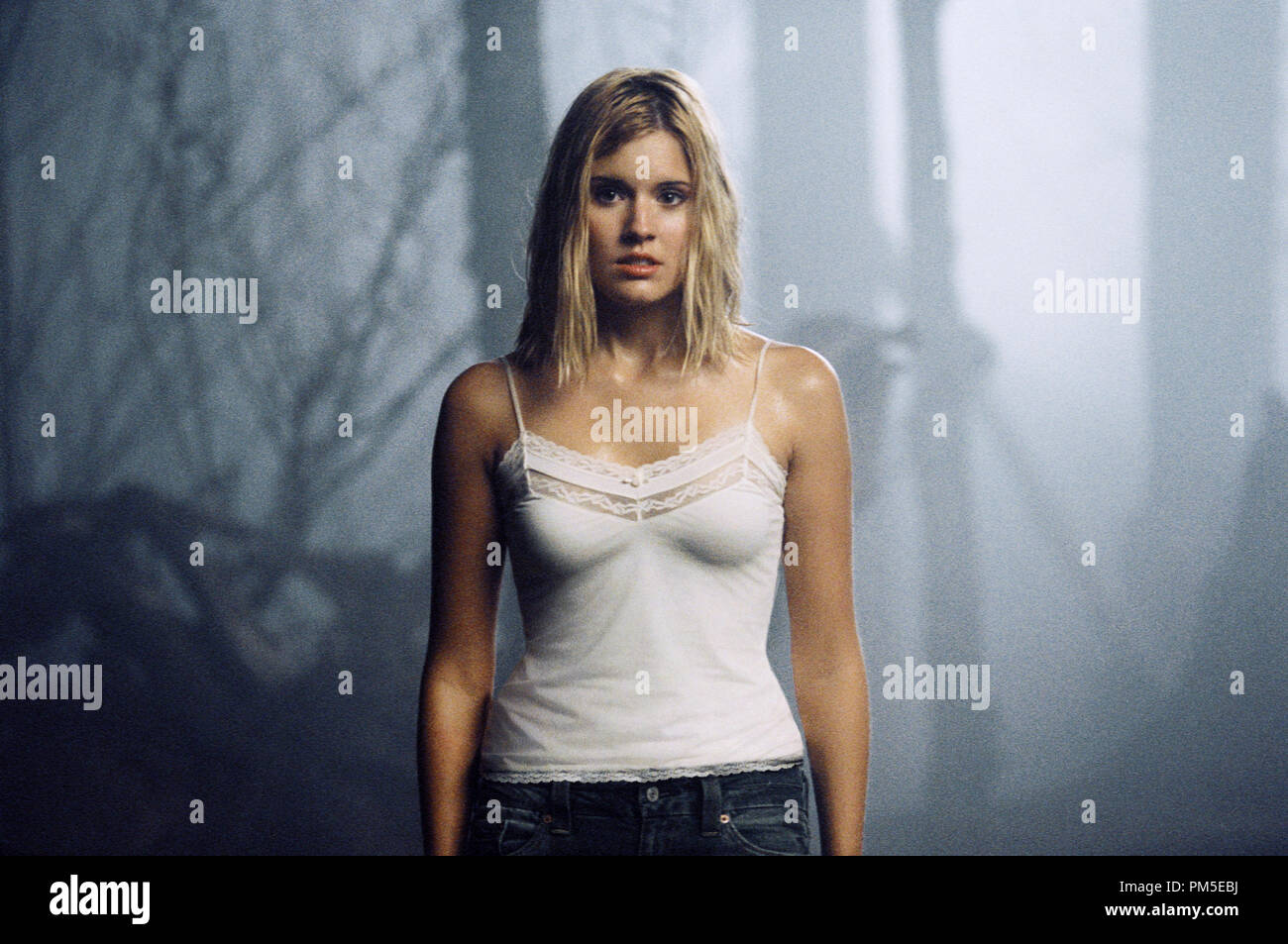Film Still / Publicity Still from "The Fog" Maggie Grace © 2005 ...