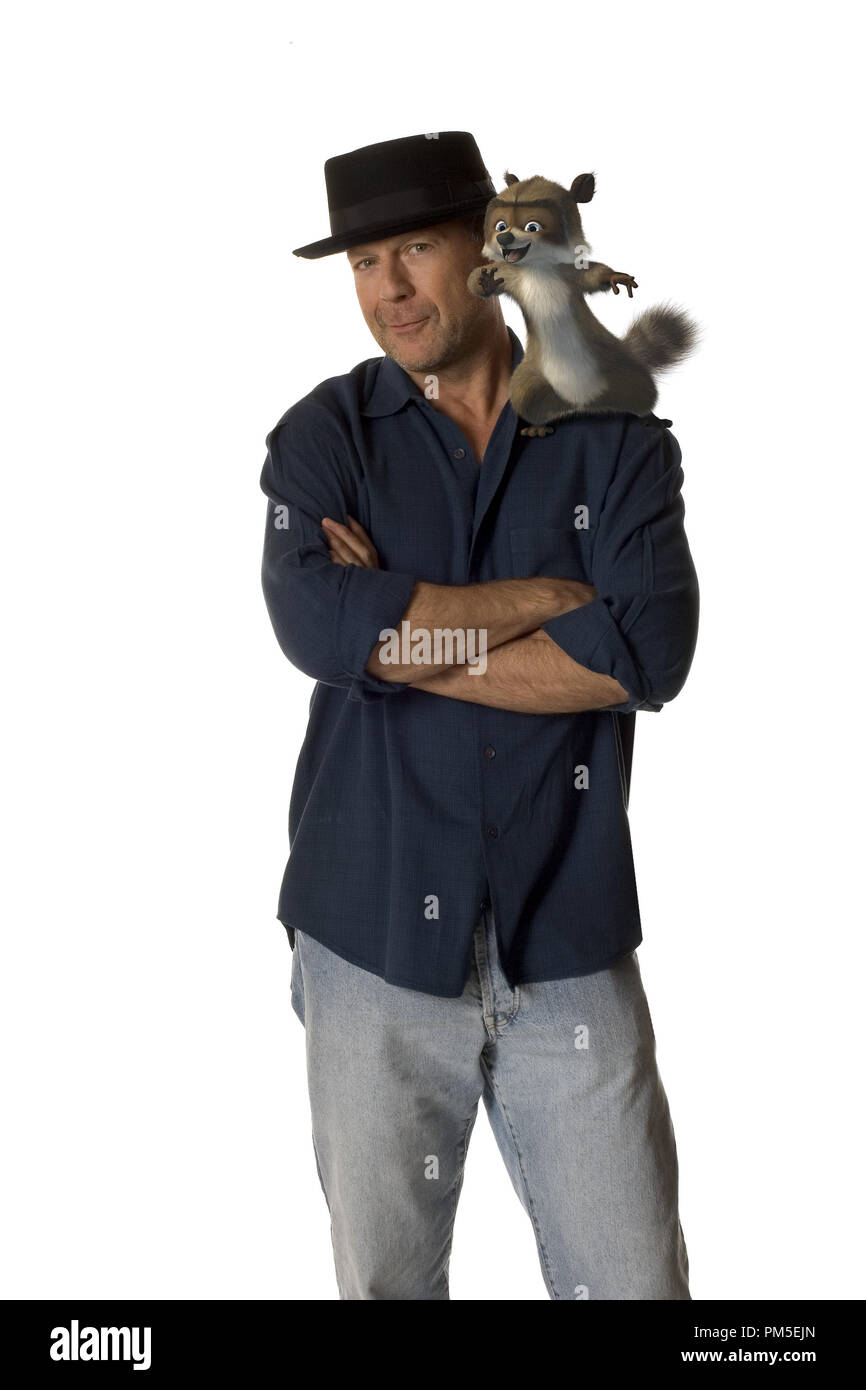 Film Still / Publicity Still from "Over The Hedge" Bruce WIllis, RJ ...