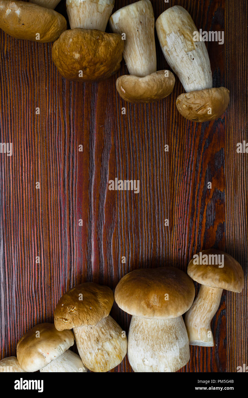 Autumn Cep Mushrooms. Ceps Boletus edulis over Wooden Dark Background ...