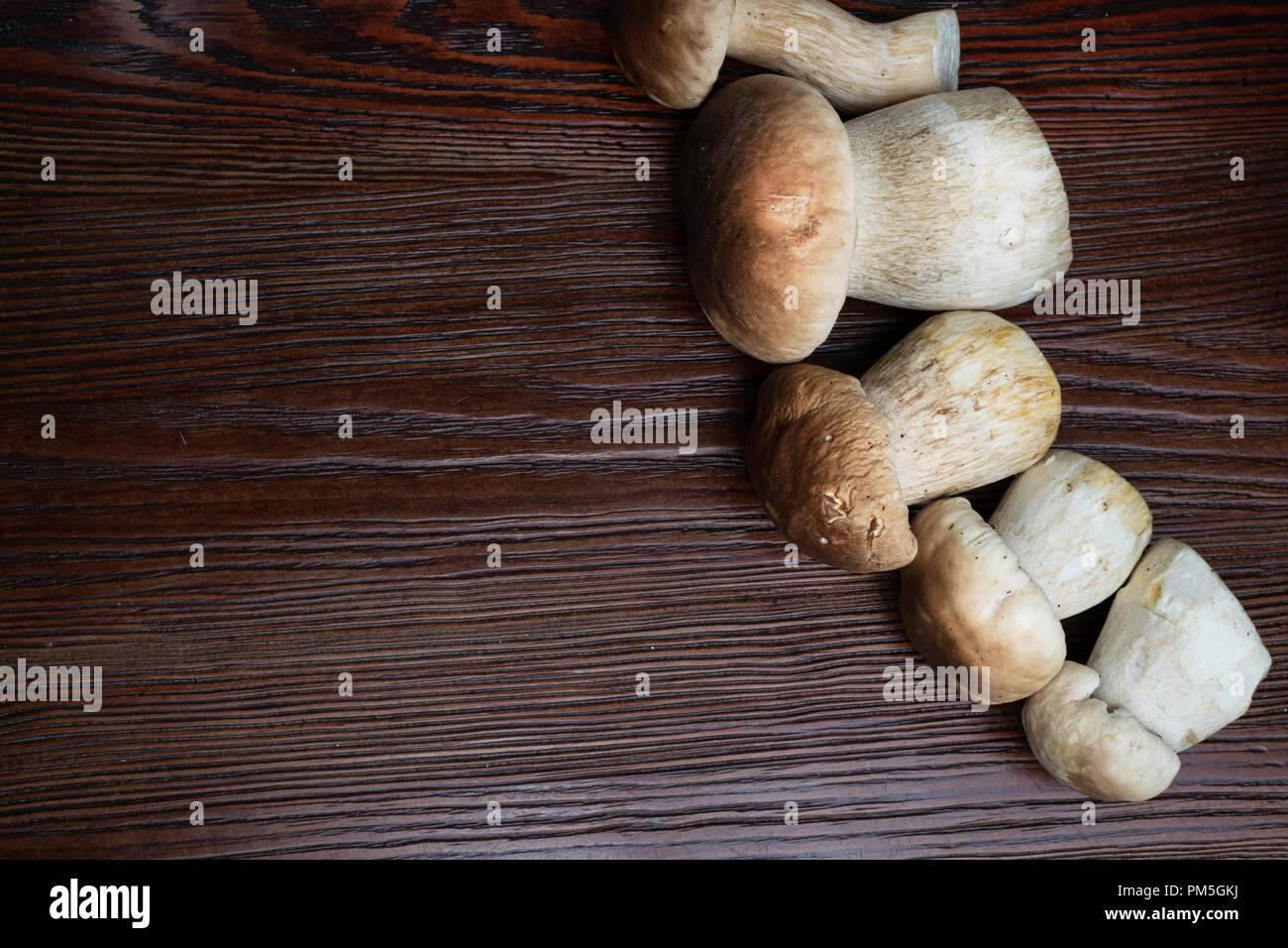 Autumn Cep Mushrooms. Ceps Boletus edulis over Wooden Dark Background ...