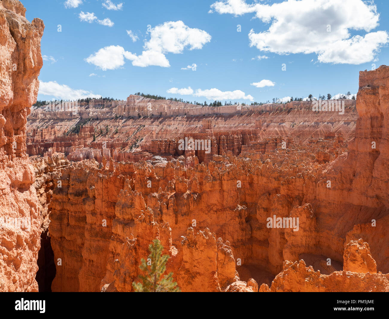 Canyon setting hi-res stock photography and images - Alamy