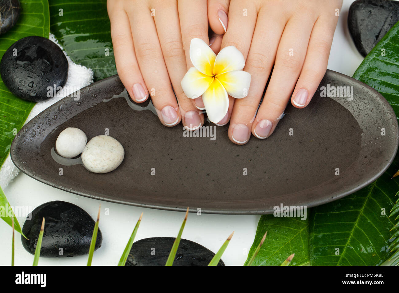 Spa manicure. Beautiful female hands with black bowl of water and ...