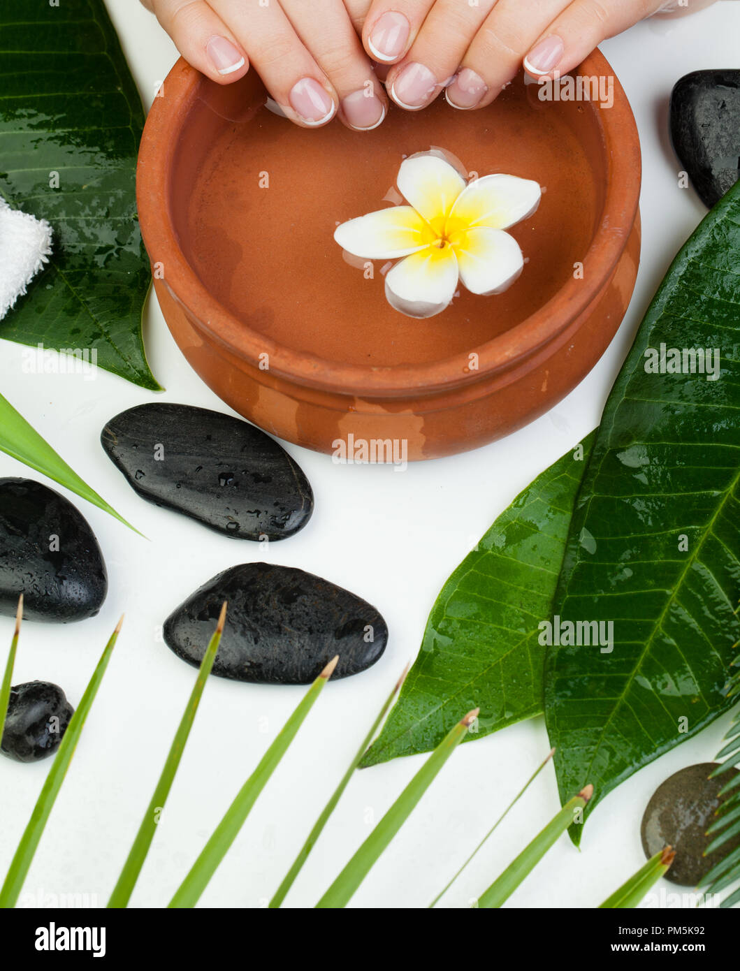 Hand spa flowers hi-res stock photography and images - Alamy