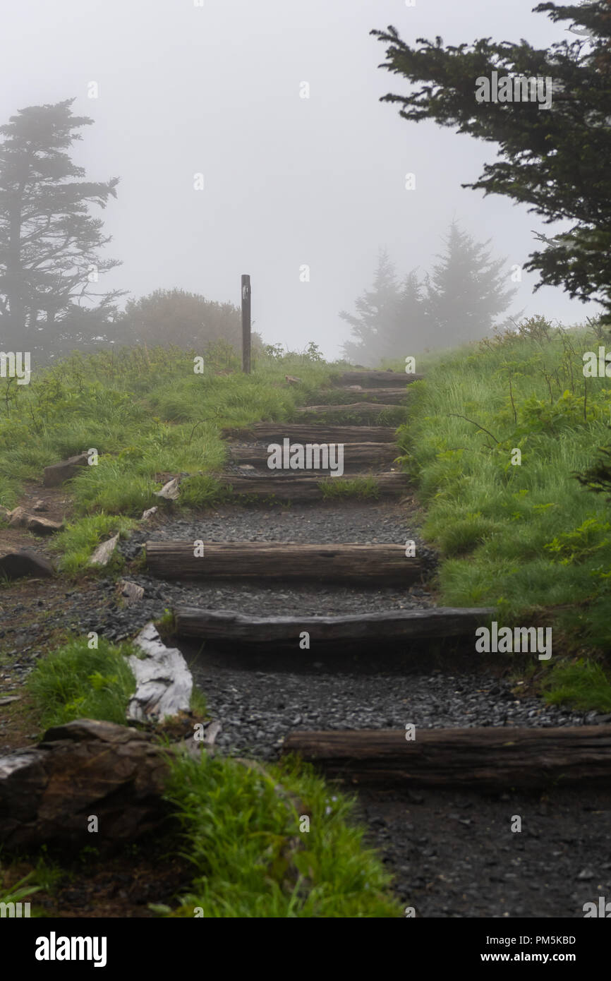 Appalachian trail log steps hi-res stock photography and images - Alamy