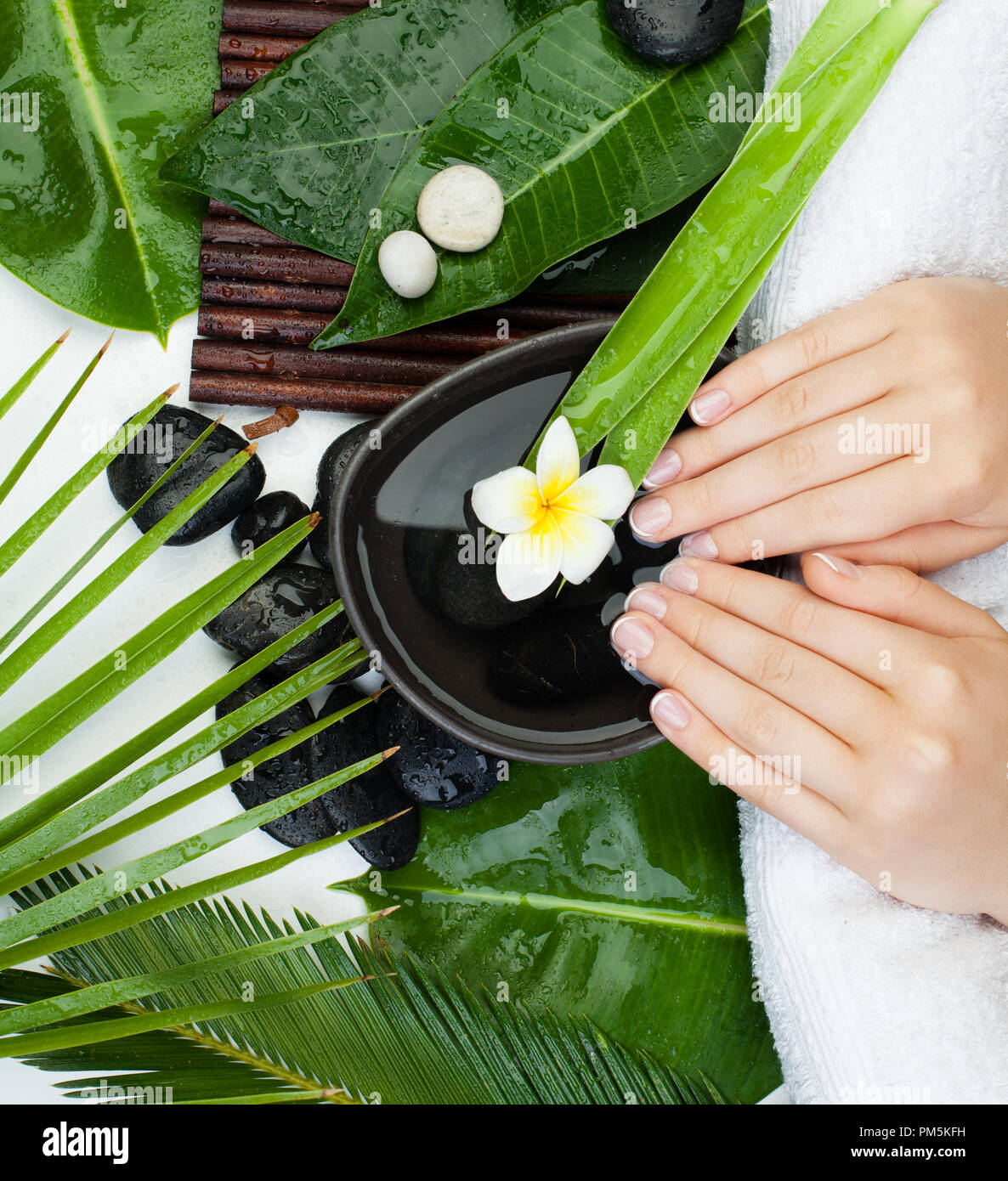 Spa manicure. female Young hands with bowl of water, flowers and green ...