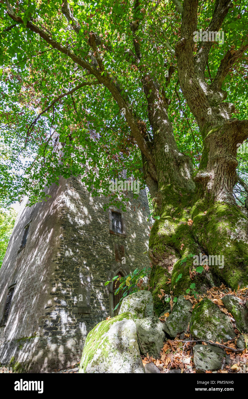 Dianaburg, former romantic hunting lodge or Jagdschloss, hidden in the ...
