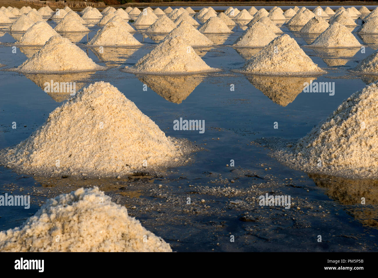 Thailand, salt fields in Petchabury Stock Photo - Alamy