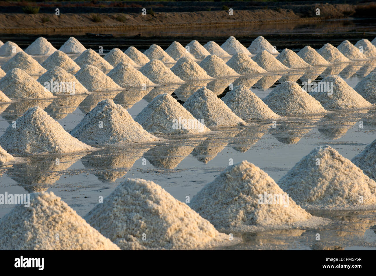 Thailand, salt fields in Petchabury Stock Photo - Alamy