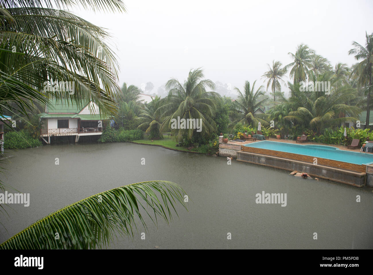 Thailand, Koh Samui, Tropical rain Stock Photo - Alamy