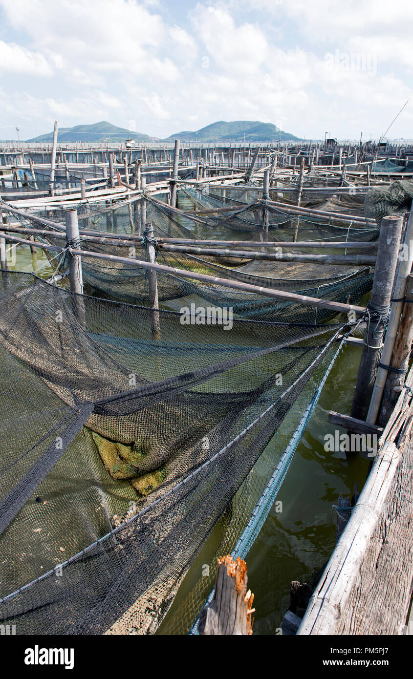 Fish farming hi-res stock photography and images - Alamy