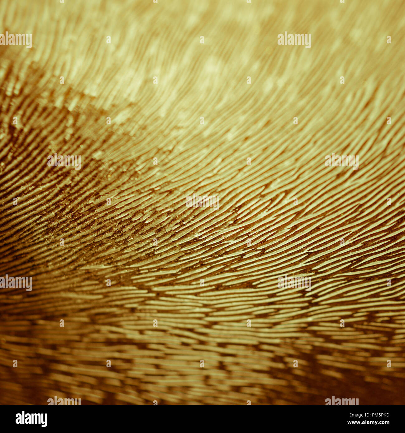 Fantasy World Concept: Macro Image of Colorful Wavy Embossed Glass ...