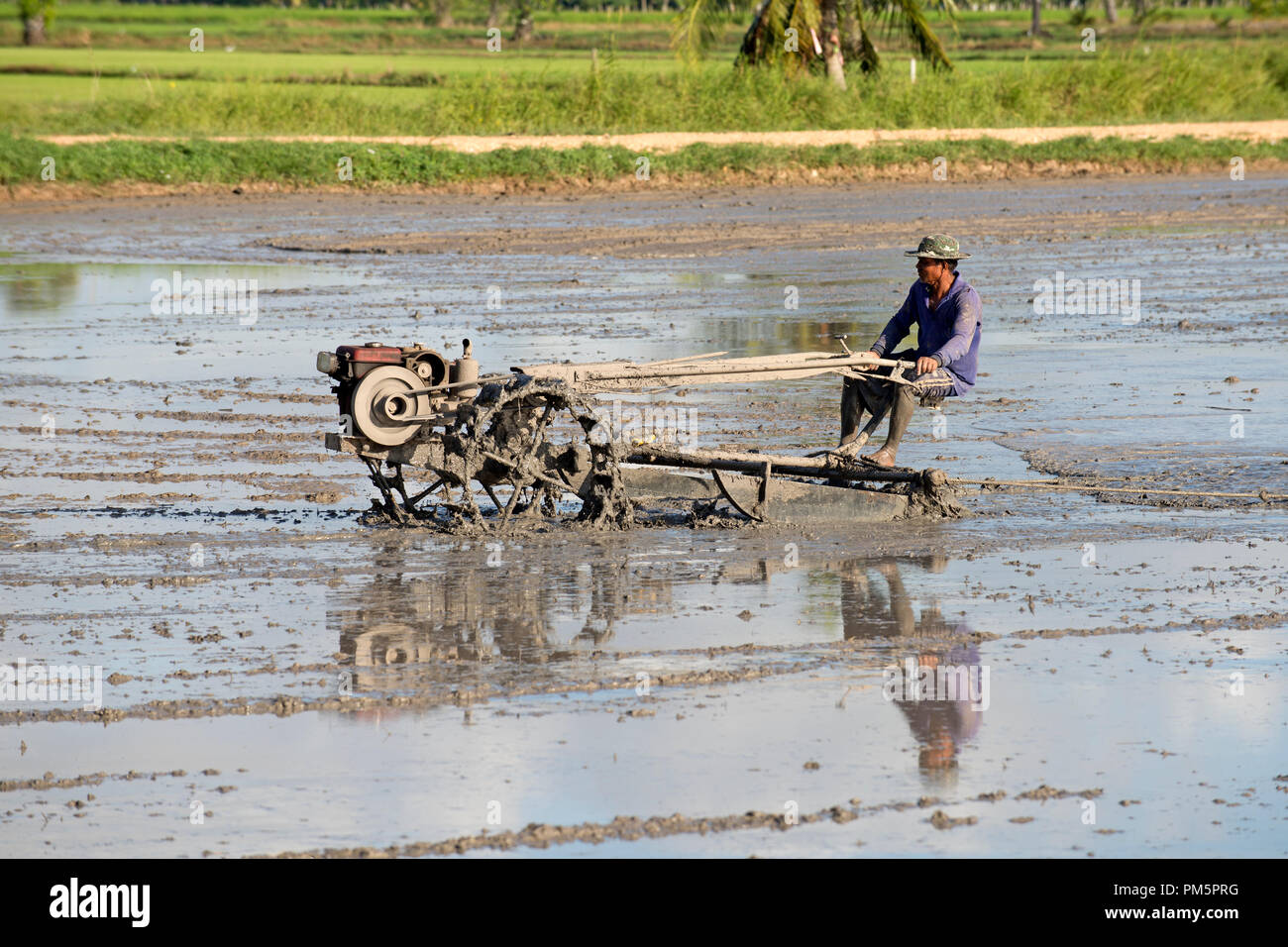 Rice tractor hi-res stock photography and images - Alamy
