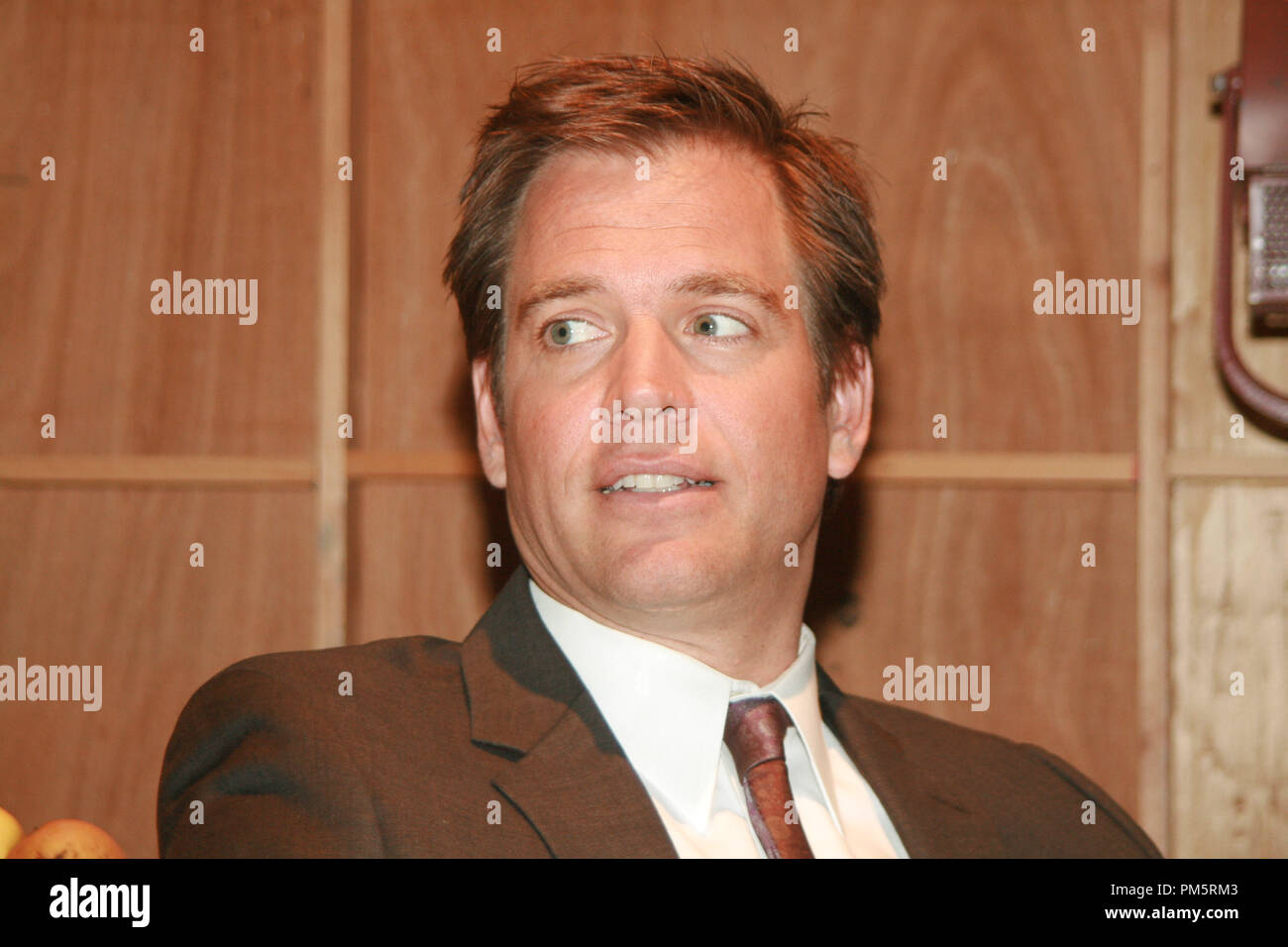 Michael Weatherly "NCIS" Portrait Session, April 4, 2011. Reproduction ...