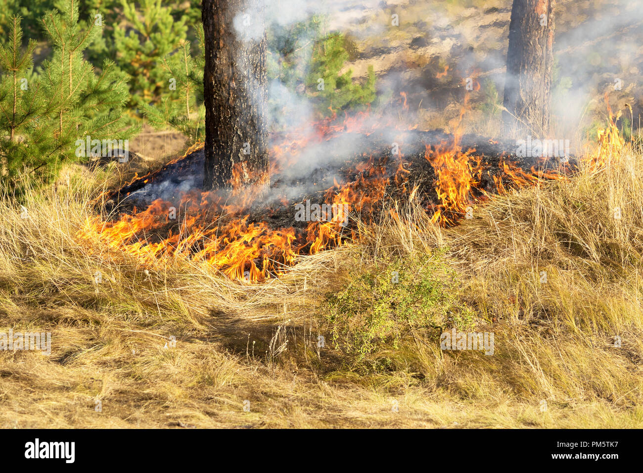 Summer fire danger hi-res stock photography and images - Alamy