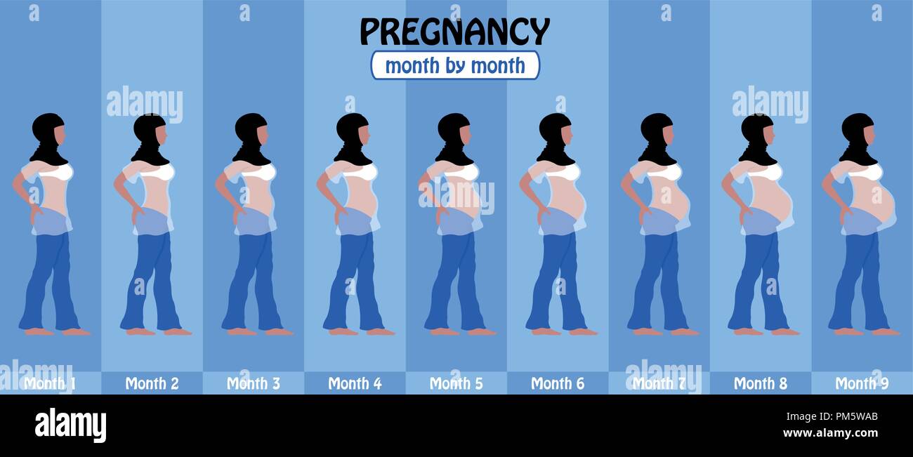 Stages Of Pregnancy Month By Month What Does The Appearance Of A