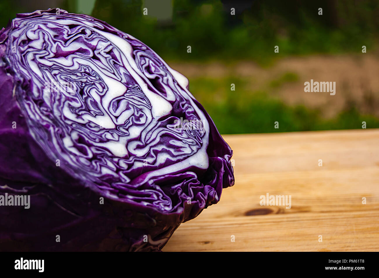 Cut red cabbage on cutting board. Culinary still life outdoors Stock ...