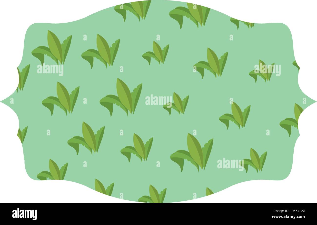 Leaves label frame Stock Vector Image & Art - Alamy