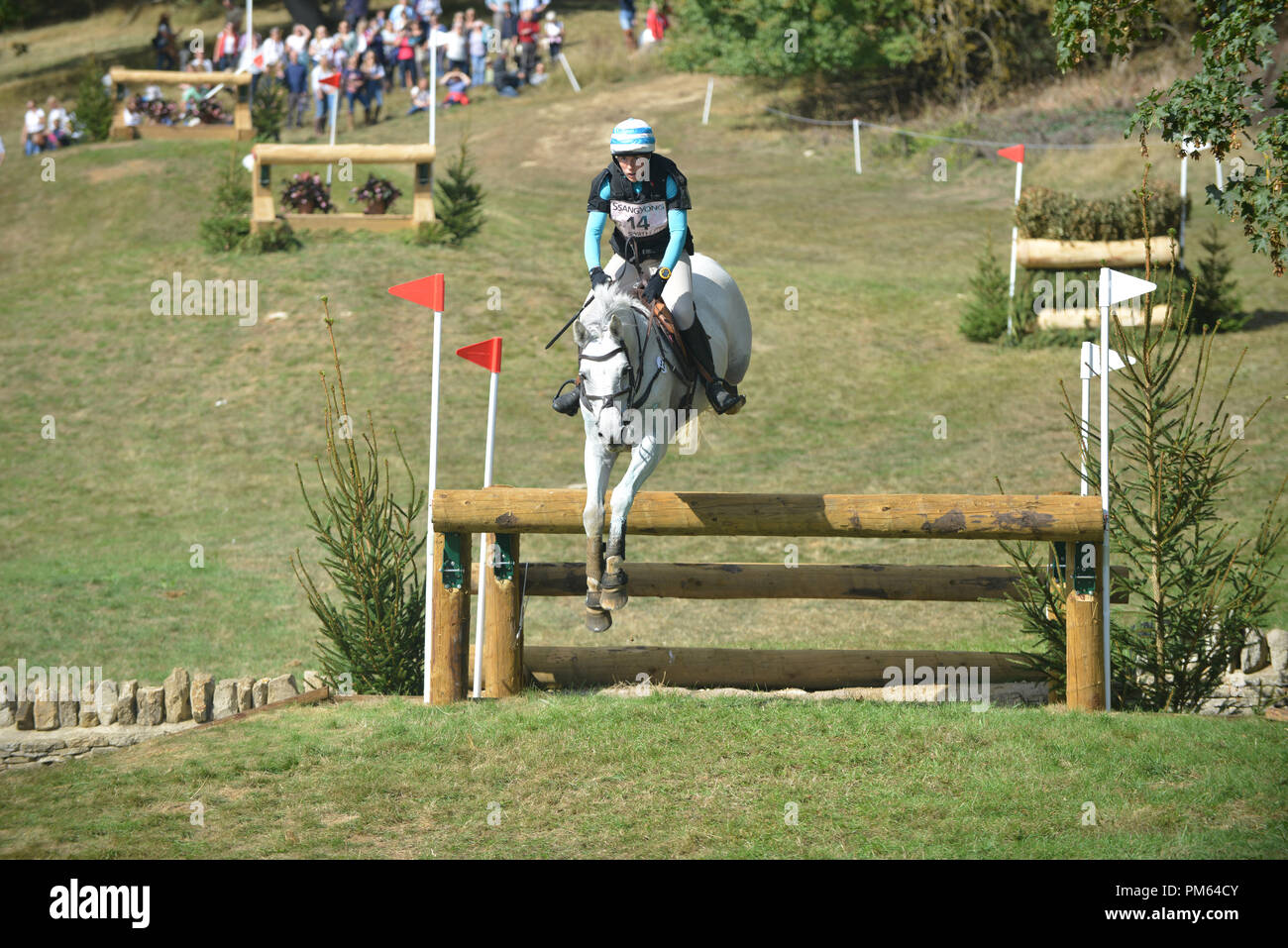 Rhian Smith on Boris VII, cross country phase of the CCI*** competition ...