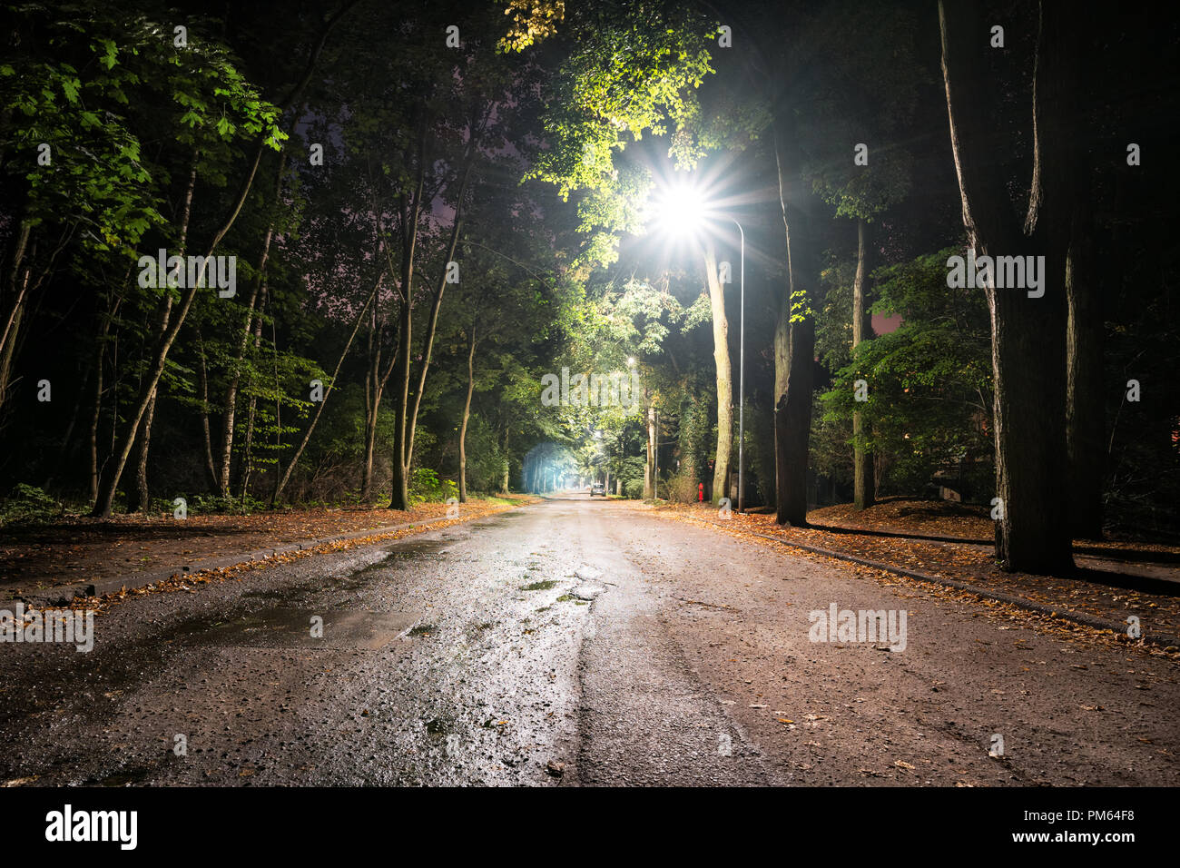 Lantern lit pathway hi-res stock photography and images - Alamy