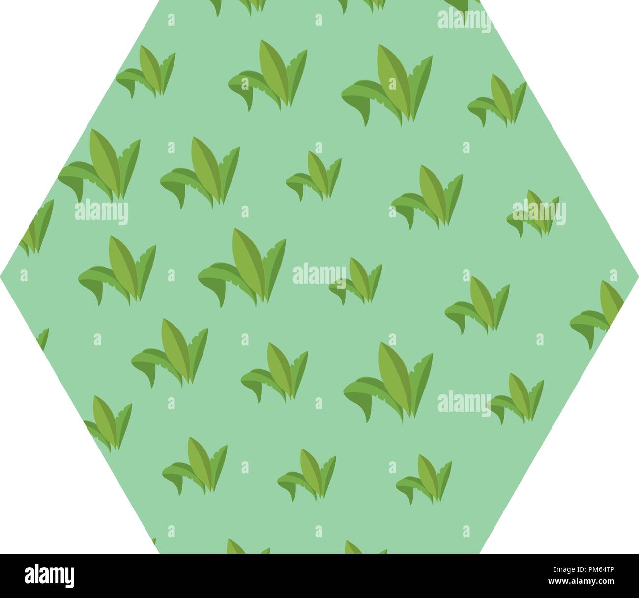 Leaves hexagon shape Stock Vector Image & Art - Alamy
