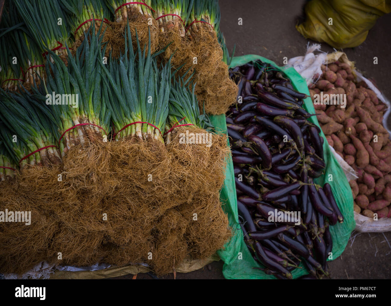 Kuchay hi-res stock photography and images - Alamy