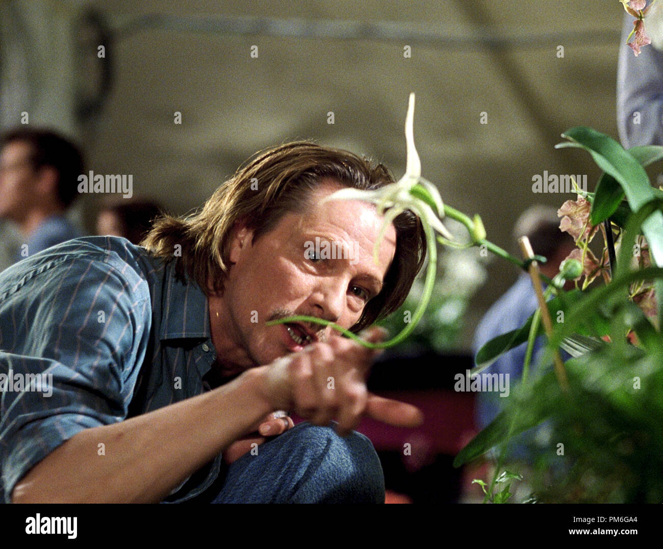 Adaptation Movie Stills