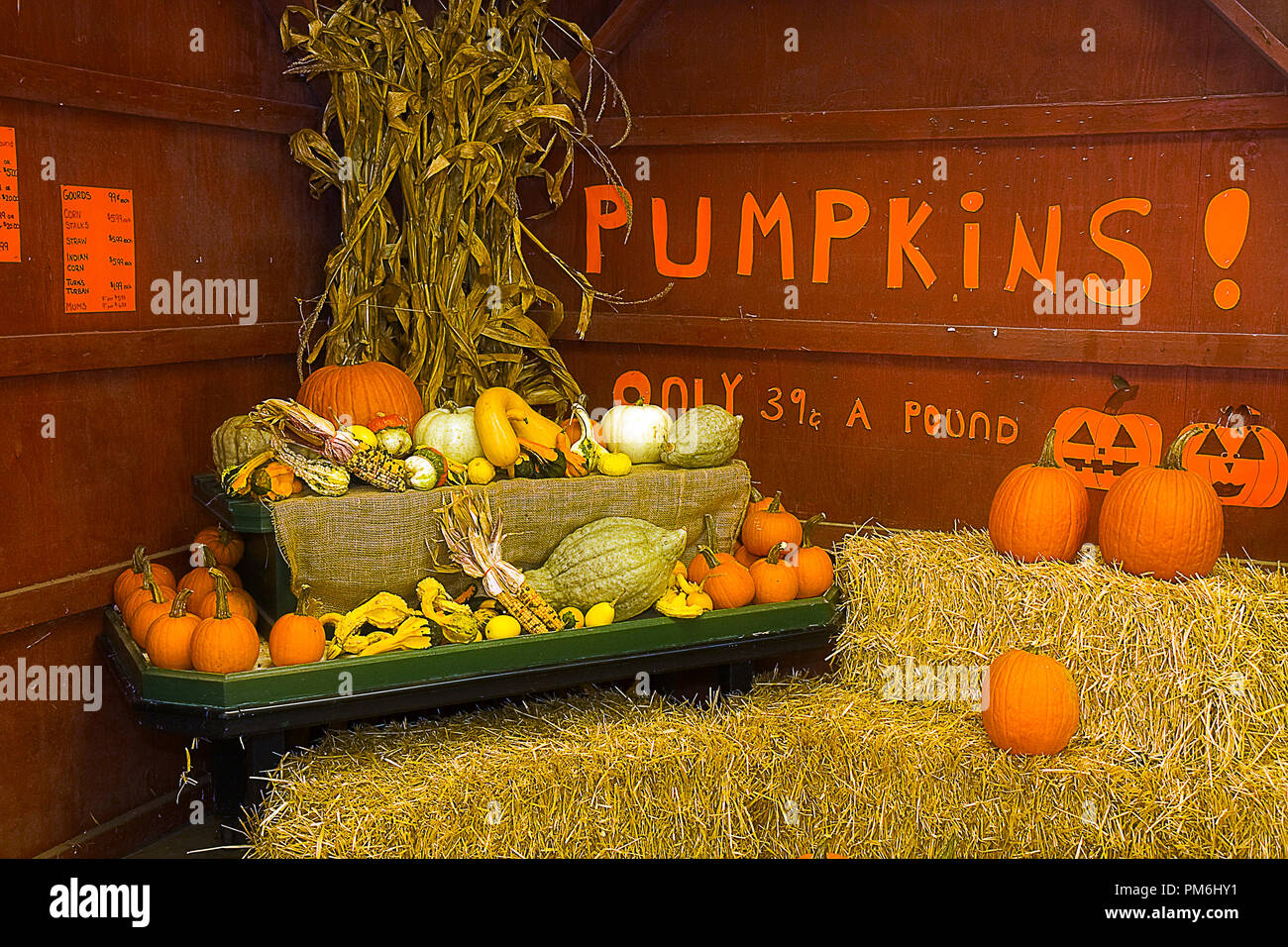 Country Farmer's Market with lots of produce including pumpkins in the ...