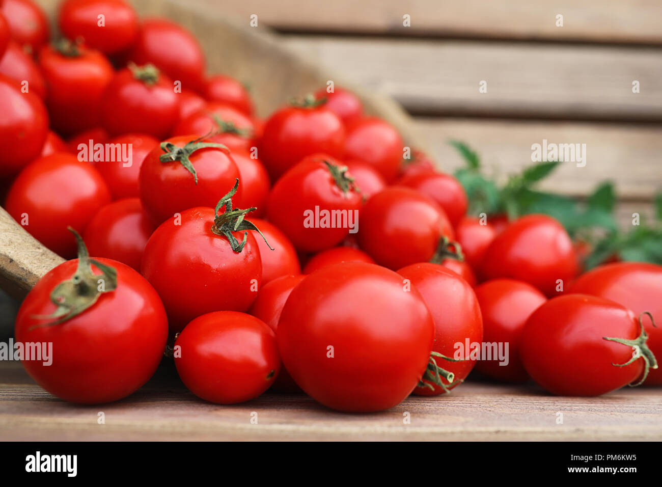 Fresh tomato crop in a wooden bowl Stock Photo - Alamy