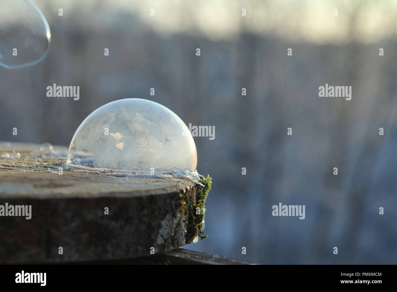 Soap bubbles freeze in the cold. Winter soapy water freezes in t Stock ...