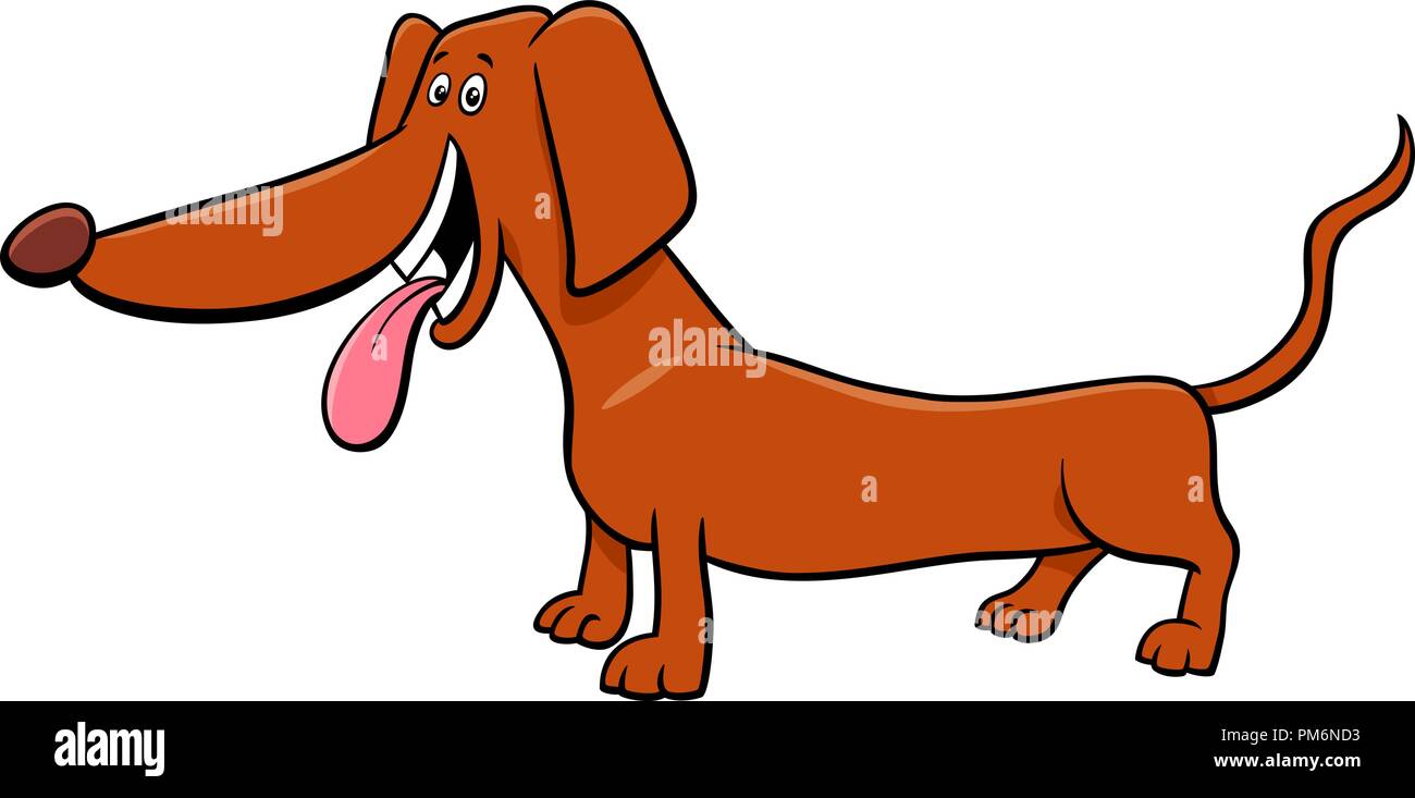 Cartoon Illustration of Funny Purebred Dachshund Dog Animal Character ...