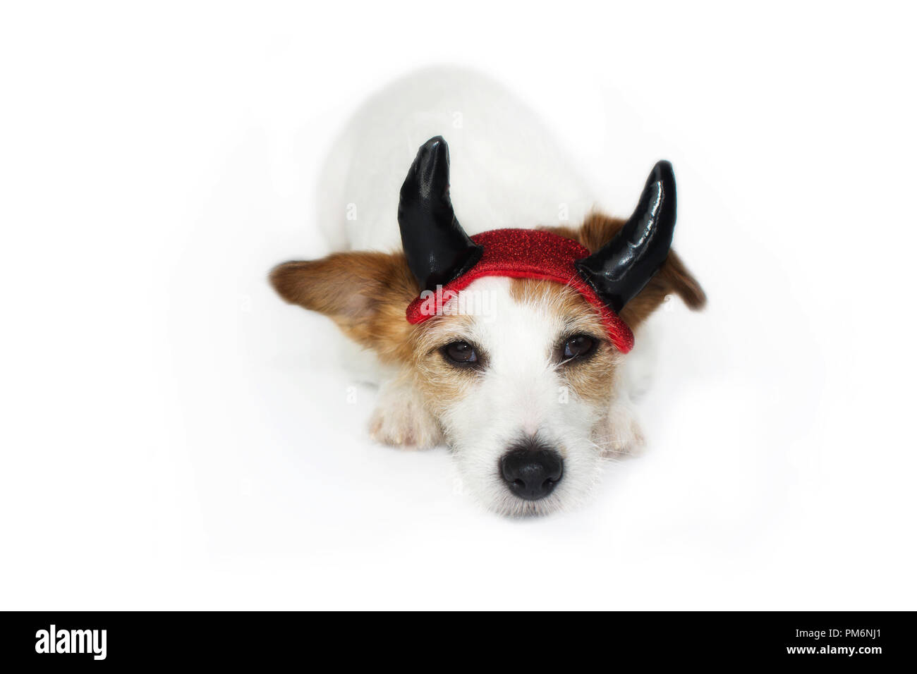 Carnival devil costume hi-res stock photography and images - Alamy