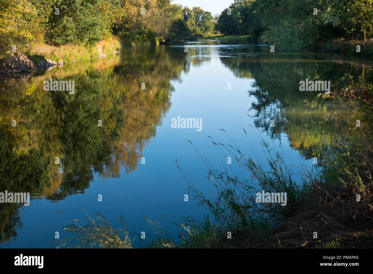 Dark pure wild river water hi-res stock photography and images - Alamy