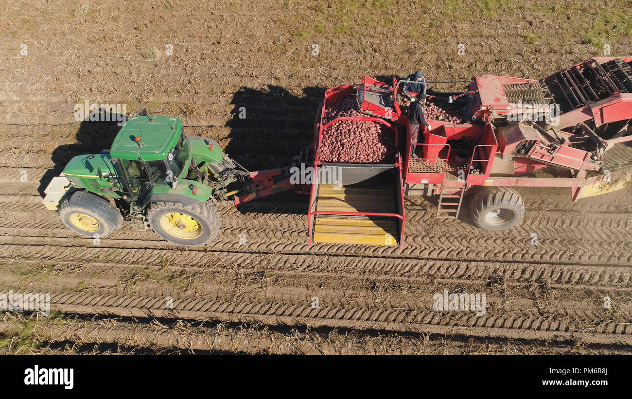 potatoes harvesting machine with tractor in farm land for harvesting ...
