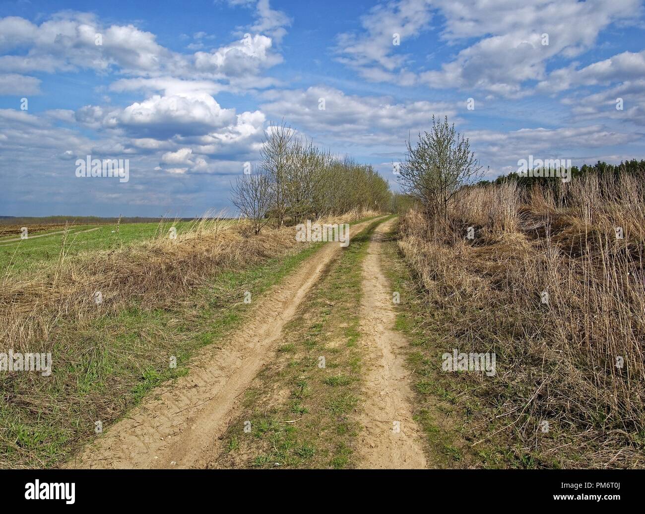 Russia spring fields hi-res stock photography and images - Alamy