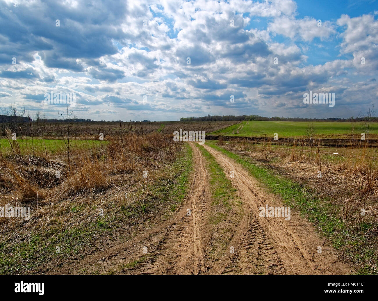 dirt road through fields in spring, Russia Stock Photo - Alamy