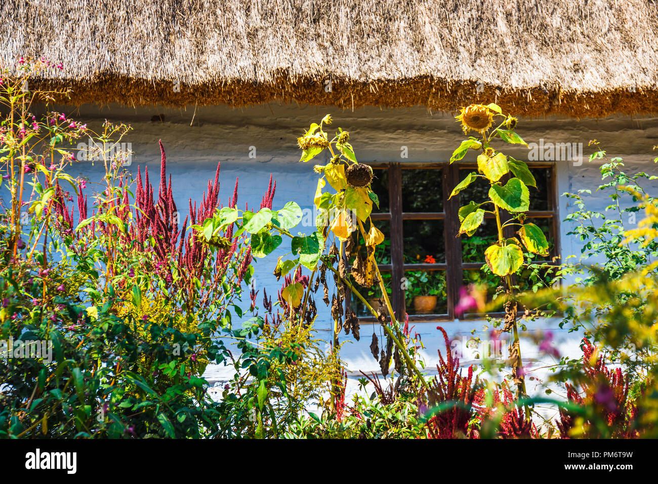 Old log house with thatched roof, traditional rural architecture in ...